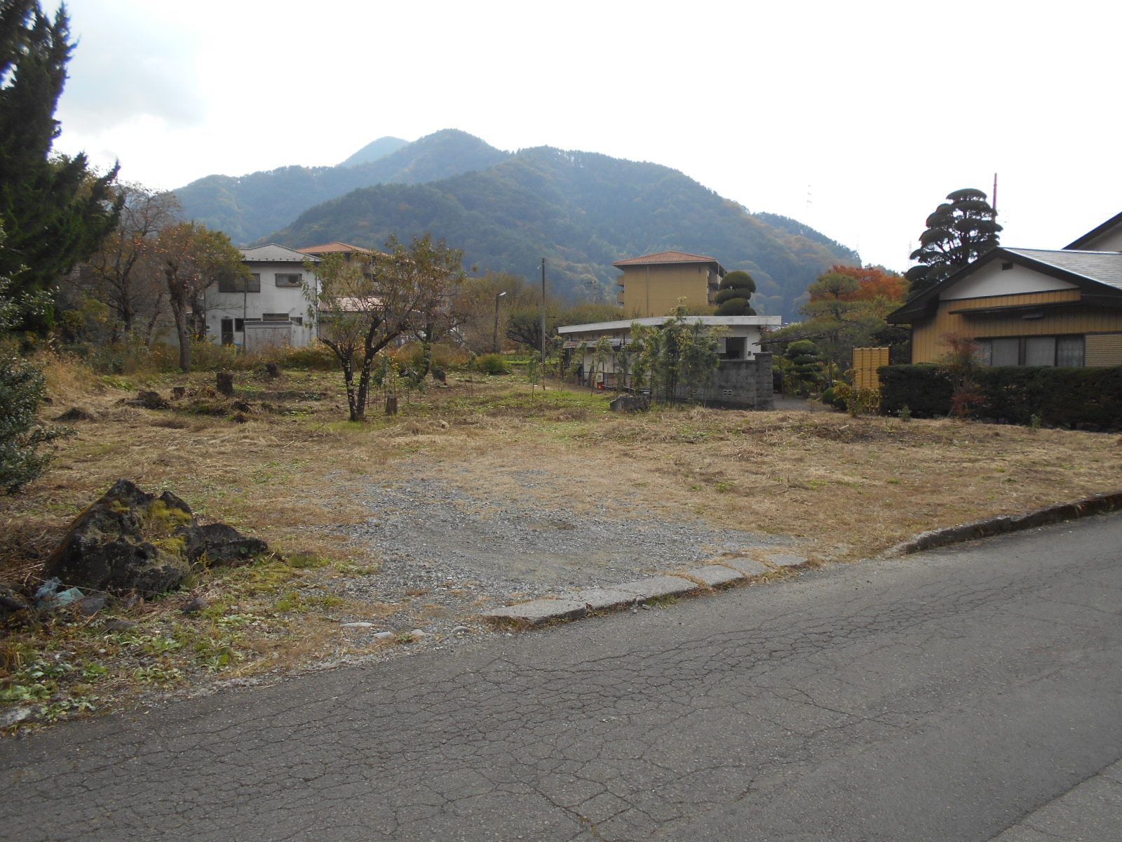 T0028 | ㈱さいぐさ不動産